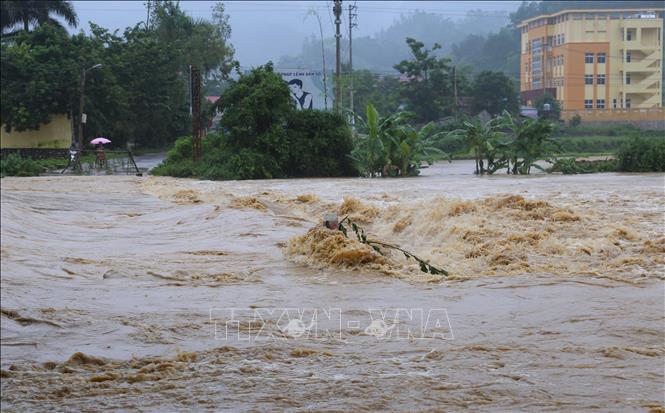 At least seven die, go missing due to storm Bebinca - VNA Photos ...