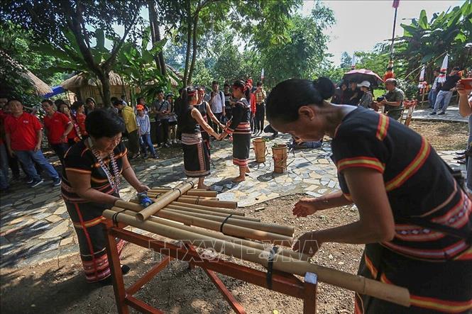 Tái hiện Lễ mừng lúa mới dân tộc Xơ Đăng tỉnh Kon Tum - Ảnh thời sự ...