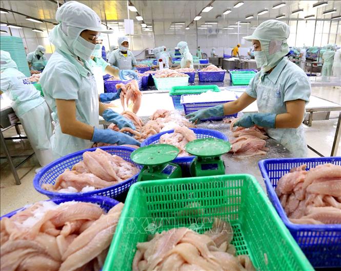 Tra fish exports to EU to surge in 2019 - VNA Photos - Vietnam News ...