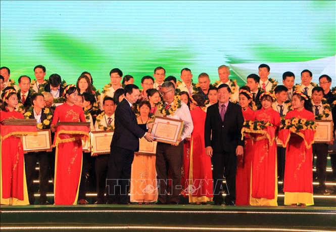 Vietnam Rice Festival opens in Vinh Long - VNA Photos - Vietnam News ...