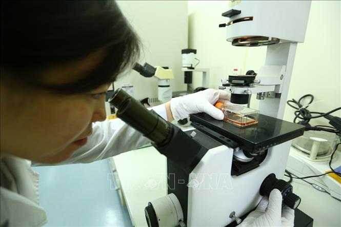 Female scientists honoured for COVID-19 research - VNA Photos - Vietnam ...