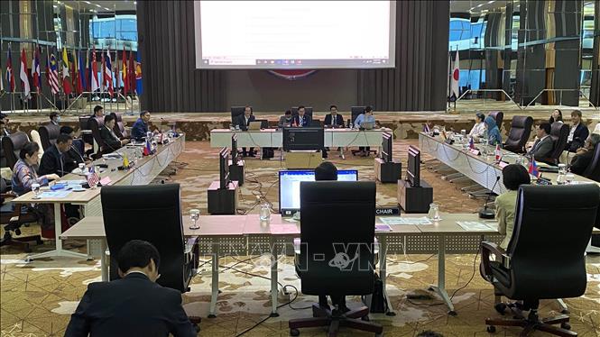 ASEAN 2020: 14th ASEAN-Japan Joint Cooperation Committee meeting - VNA ...