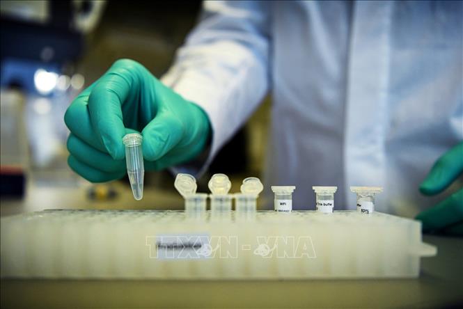 COVID-19: Triển vọng điều chế thành công vaccine ngừa virus SARS-CoV-2 ...