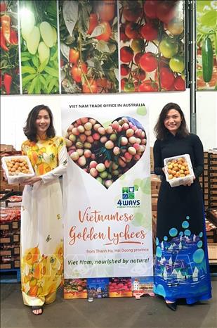 Vietnamese “Golden Lychee” arrives in Australia - VNA Photos - Vietnam ...