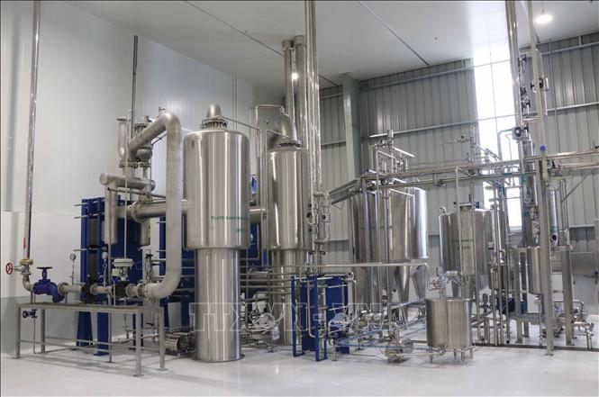 Fresh fruit-herb processing factory comes into operation in Son La ...