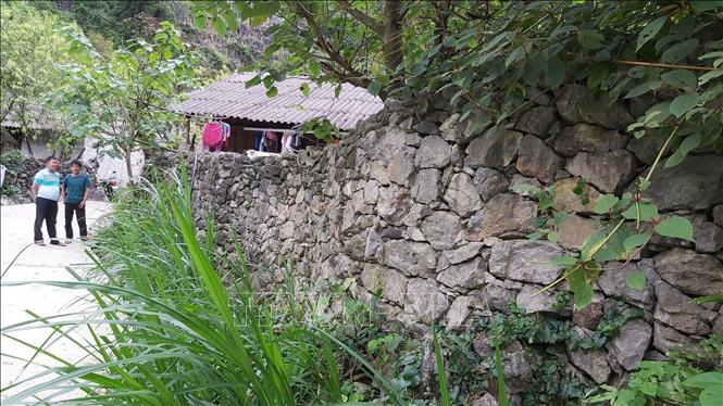 "Stone Fence" Unique Culture of H'Mong in Dong Van Stone Plateau - VNA ...