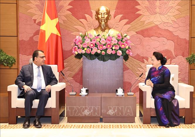 Chủ tịch Quốc hội Nguyễn Thị Kim Ngân tiếp Đại sứ Cộng hòa Chile tại ...