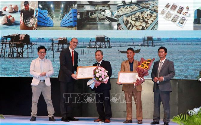 Vietnamese hard clams become world first to win ASC certificate ...