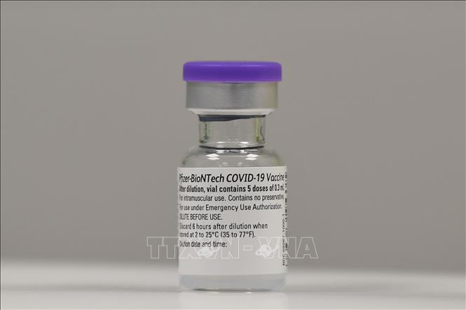 Thông tin về giá vaccine COVID-19 của Pfizer/BioNTech bán cho EU - Ảnh ...