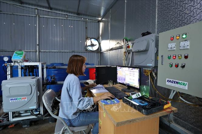 HTX Rau sạch Yên Dũng ứng dụng công nghệ cao vào sản xuất - Ảnh thời sự ...