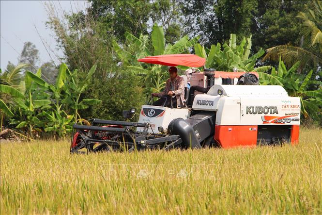 Vietnam ships 638,000 tonnes of rice abroad in Jan-Feb - VNA Photos ...
