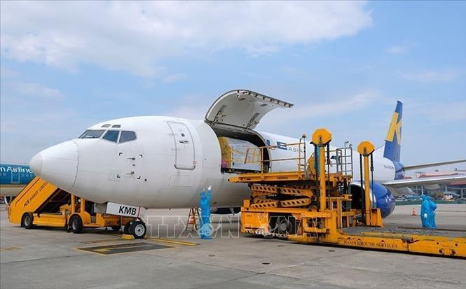 First 97,000 Pfizer COVID-19 vaccine doses arrive in Vietnam on July 7 ...