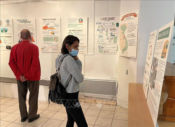 Infographics featuring Agent Orange/dioxin disaster in Vietnam ...