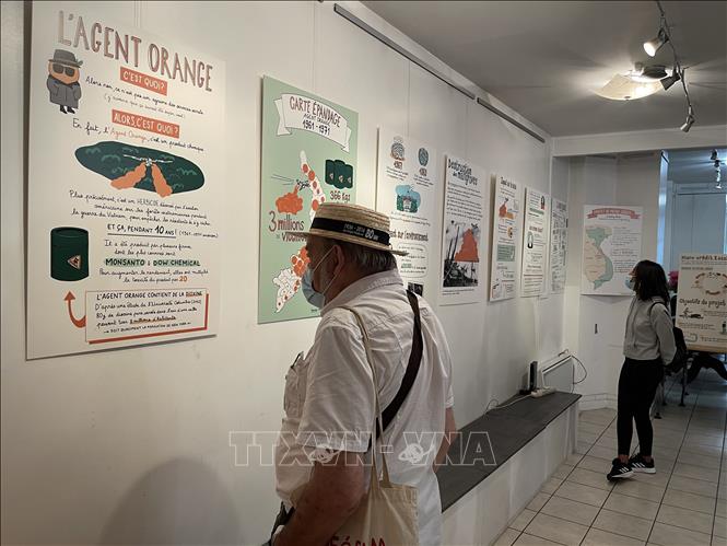 Infographics featuring Agent Orange/dioxin disaster in Vietnam ...