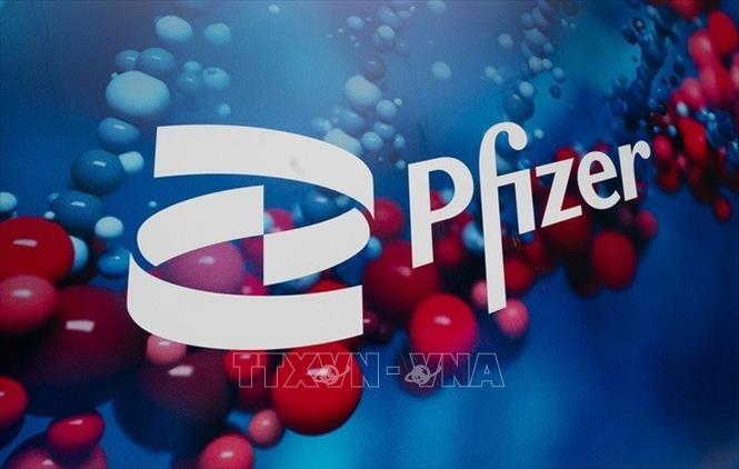 Thuốc điều trị COVID-19 của Pfizer cho hiệu quả cao trong thử nghiệm ...