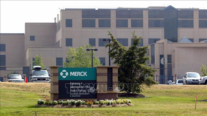 Hãng Merck cam kết cung ứng công bằng thuốc molnupiravir điều trị COVID ...