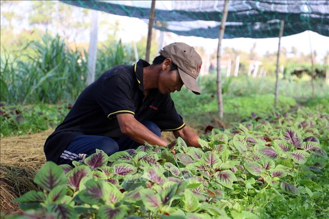 People-to-people diplomacy: one of three main pillars for modern ...