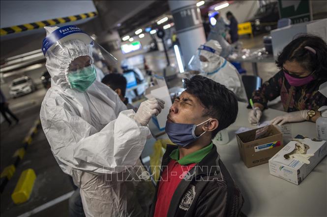 Indonesia phát hiện gần 50 ca nhiễm biến thể Omicron - Ảnh thời sự quốc ...