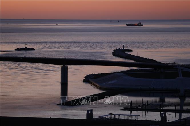 Nhật Bản phát hiện sóng thần sau khi núi lửa ở Tonga phun trào - Ảnh ...