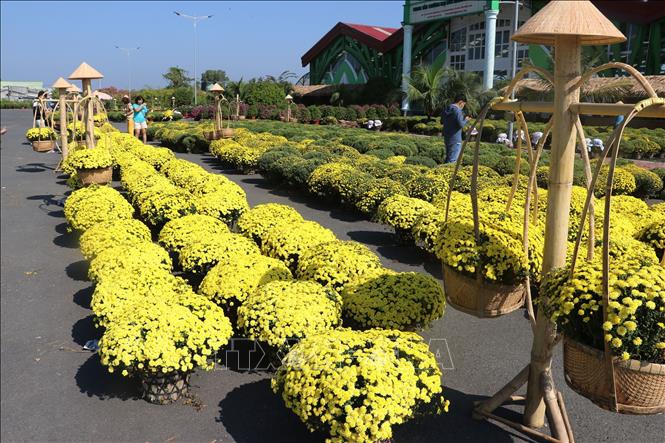 Horticulture village of Sa Dec before Tet - VNA Photos - Vietnam News ...