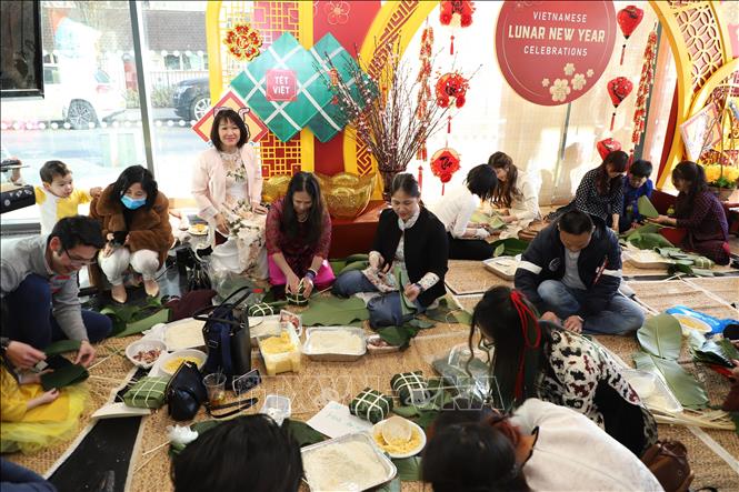 Overseas Vietnamese across nations celebrate Lunar New Year - VNA ...