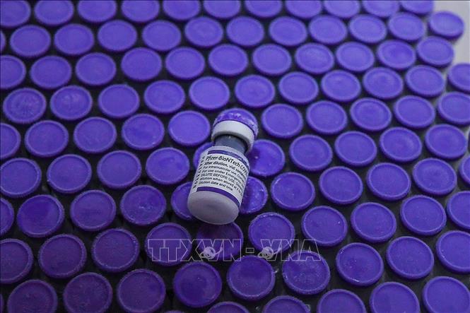 Lợi nhuận của Pfizer tăng mạnh nhờ vaccine và thuốc điều trị COVID-19 ...