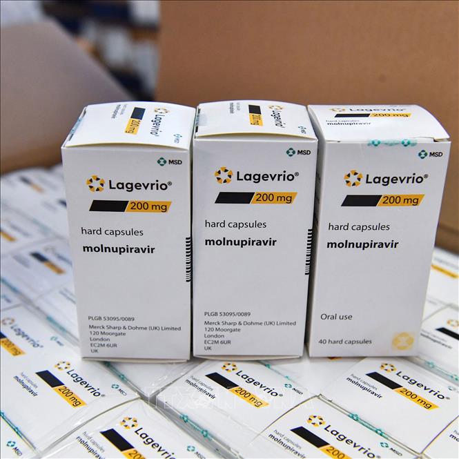 Sống chung an toàn với COVID-19: Hàn Quốc cho phép sử dụng thuốc ...