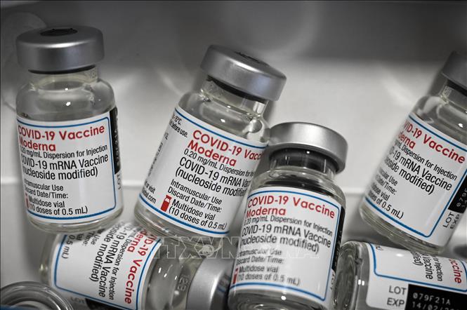 Moderna chuẩn bị xin FDA (Mỹ) cấp phép sử dụng vaccine ngừa COVID-19 ...