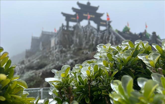 Frost covers Fansipan peak in mid-spring - VNA Photos - Vietnam News ...
