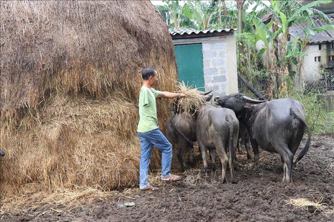 Ngày Quốc tế Nhận thức bom mìn và Hỗ trợ hành động bom mìn (4/4): Sớm ...