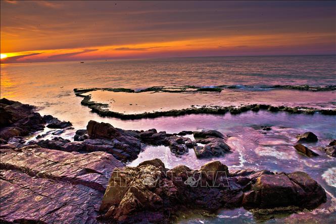 Ninh Thuan’s biosphere reserve receives UNESCO recognition - VNA Photos ...