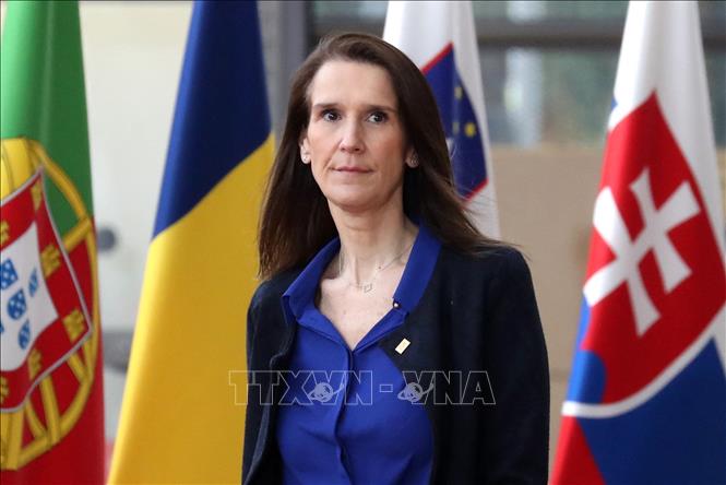 Ngoại trưởng Bỉ thông báo từ chức - Ảnh thời sự quốc tế - Chính trị ...