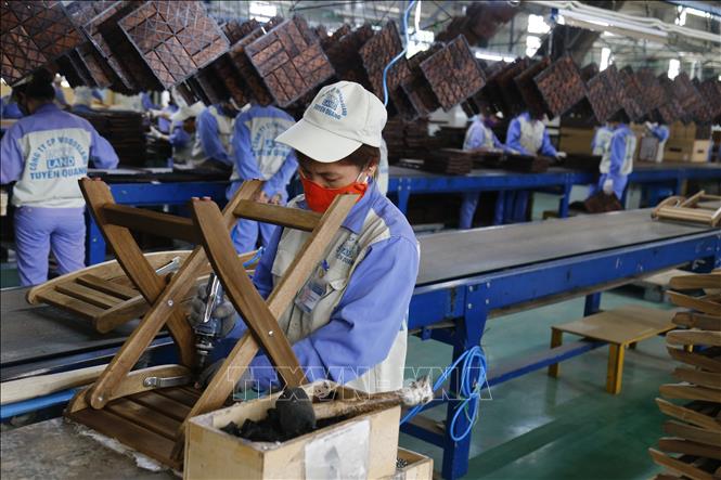 Tuyên Quang: Phát triển kinh tế rừng hiệu quả và bền vững - Ảnh thời sự ...