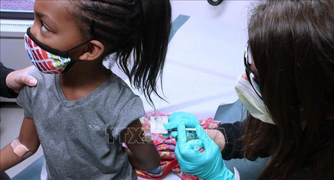 Mỹ phê duyệt sử dụng vaccine của ngừa COVID-19 của Pfizer và Moderna ...