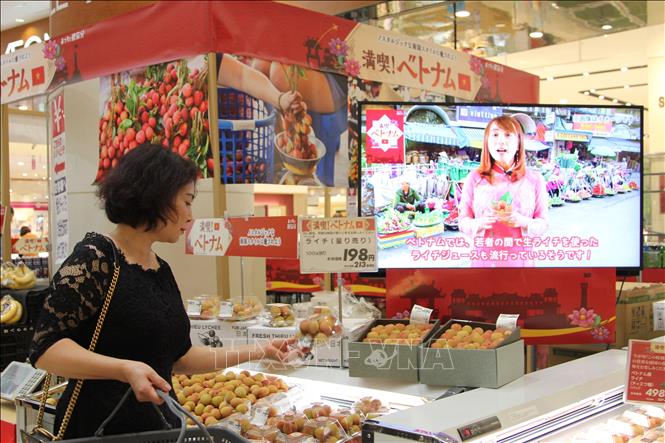 Vietnamese Goods Week underway in Japan - VNA Photos - Vietnam News ...