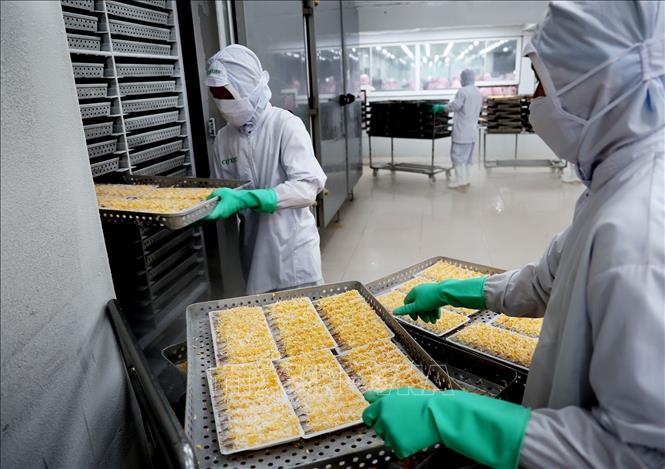 Thành phố Hồ Chí Minh: COFIDEC đạt gần 360 tỷ đồng tổng doanh thu 6 ...