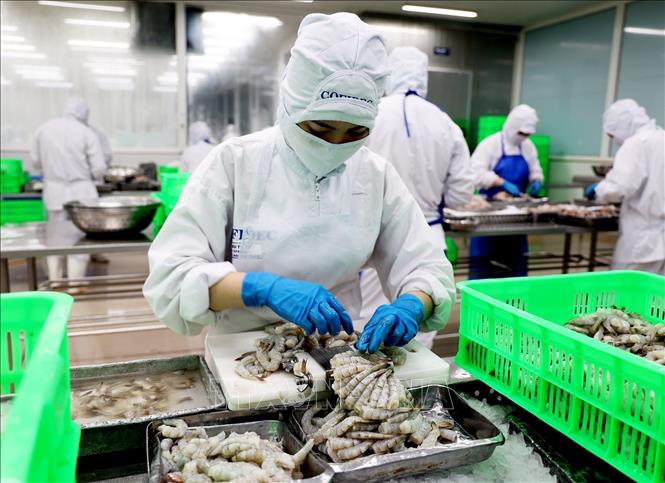 Thành phố Hồ Chí Minh: COFIDEC đạt gần 360 tỷ đồng tổng doanh thu 6 ...