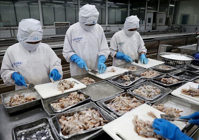 Thành phố Hồ Chí Minh: COFIDEC đạt gần 360 tỷ đồng tổng doanh thu 6 ...