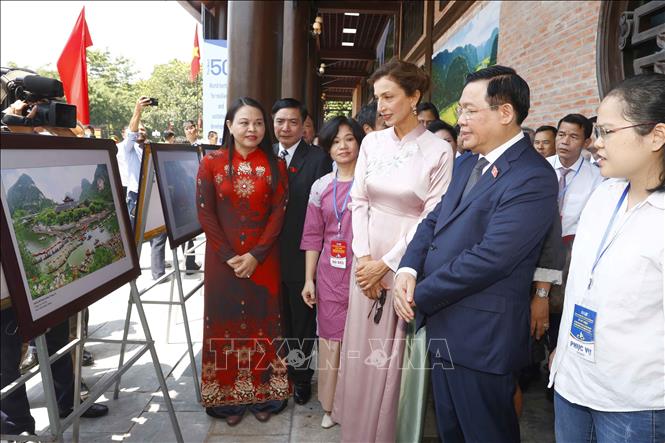 Vietnam fully taps potential of UNESCO cultural treaties: director ...
