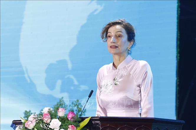 Vietnam fully taps potential of UNESCO cultural treaties: director ...