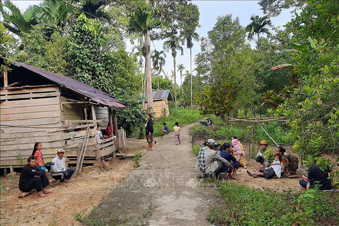 Động đất mạnh tại Papua New Guinea và Indonesia - Ảnh thời sự quốc tế ...