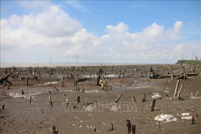 Ảnh đề nghị bỏ - Ảnh thời sự trong nước - KH-CN Môi trường - Thông tấn ...