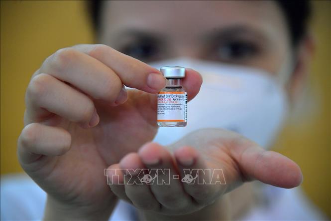 Brazil phê duyệt vaccine ngừa COVID-19 của Pfizer cho trẻ từ 6 tháng ...