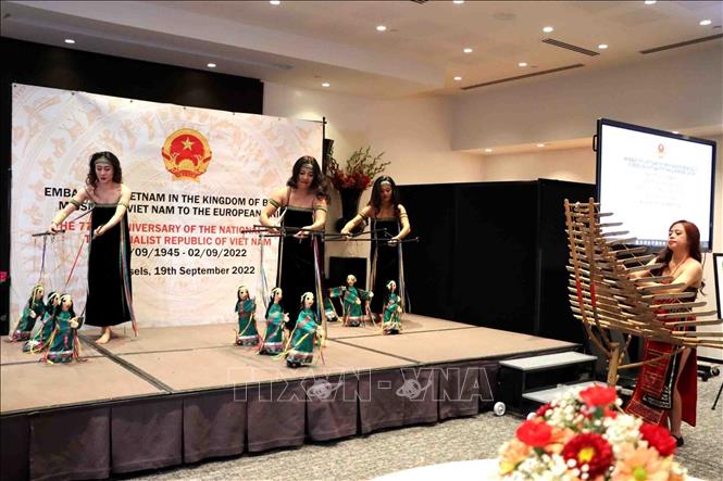 Vietnam’s relations with Belgium, EU now at their prime: ambassador - VNA Photos - Vietnam News ...