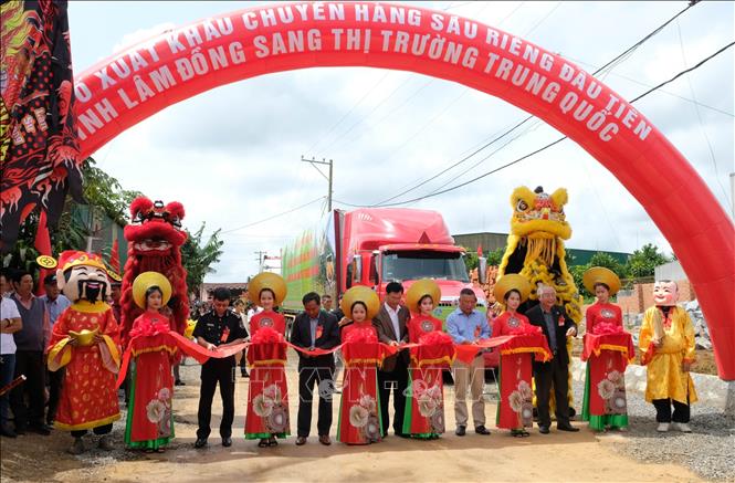 Lam Dong exports first approved batch of durians to China - VNA Photos ...