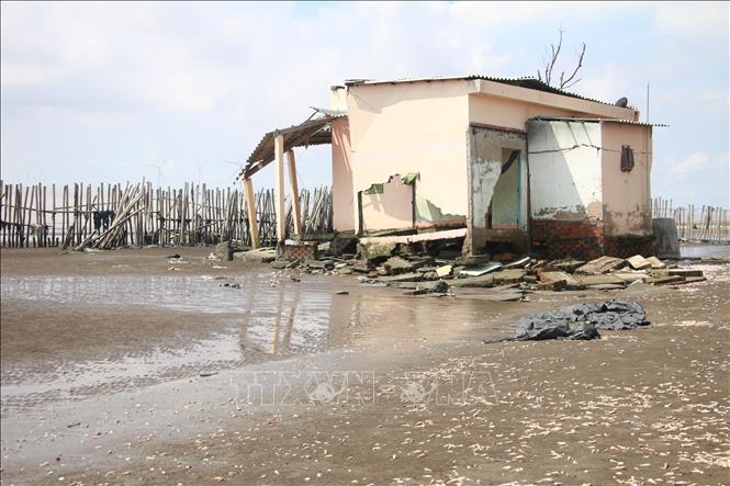 Ben Tre faces increasing erosion - VNA Photos - Vietnam News Agency (VNA)