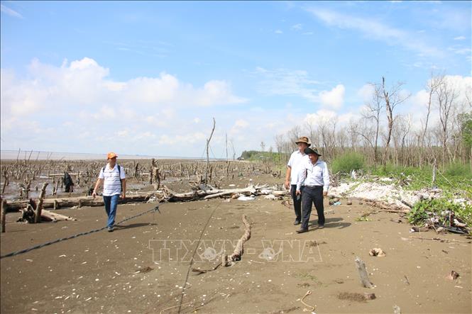 Ben Tre faces increasing erosion - VNA Photos - Vietnam News Agency (VNA)