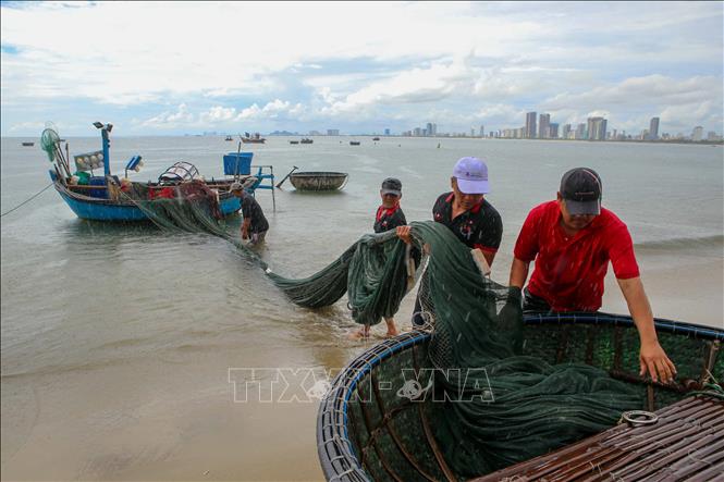 Đà Nẵng chủ động phòng, chống bão Noru - Ảnh thời sự trong nước - Văn ...