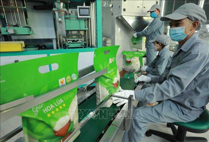 Phục Hồi Và Phát Triển Kinh Tế Xã Hội Công Ty Tnhh Thương Mại Tân