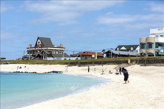 Khám phá mới về đảo Udo (Hàn Quốc) - Ảnh thời sự quốc tế - Kinh tế - KH ...